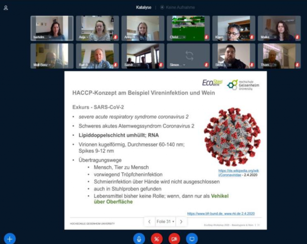 Neues – EcoStep-Wein